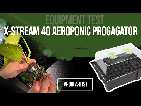 X-stream 40 aeroponic propagator first look