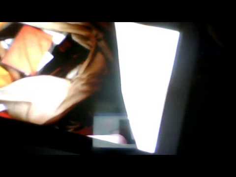 Life of Pi- Hyena kills Zebra and Orangutan + Tiger kills Hyena
