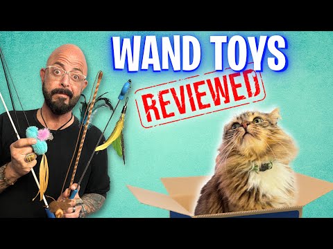 Reviewing the Top Interactive Cat Toys!