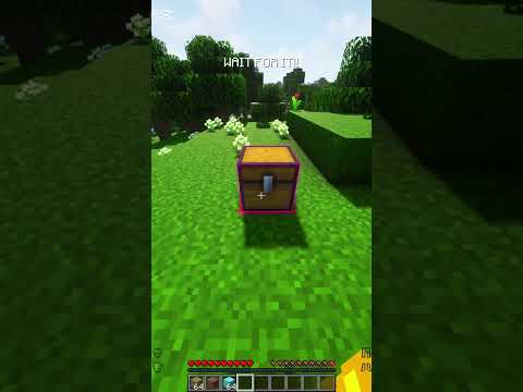 Minecraft 1.21 Duplication Glitch #minecraft #duping #glitch