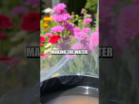Creating a Simple Solar Water Heater