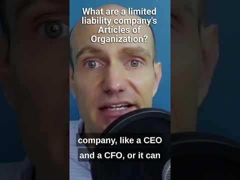 What information is in a limited liability company's articles of organization?
