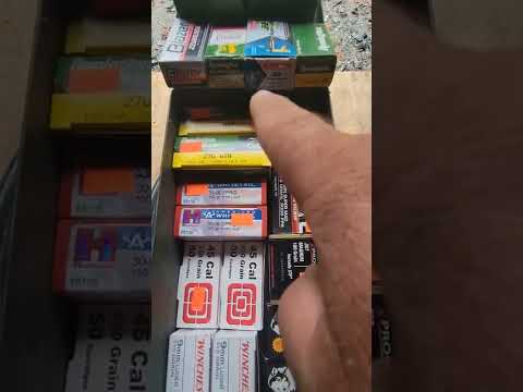 Buggout Ammo Cache (Are you prepared?) #buggout #prepardness #ammunition