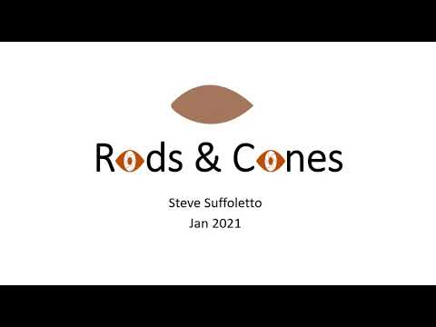 Rods & Cones
