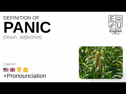 PANIC meaning, definition & pronunciation | What is PANIC? | How to say PANIC