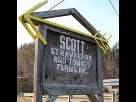 A visit to Scott's Tomato Farm in Unicoi, TN