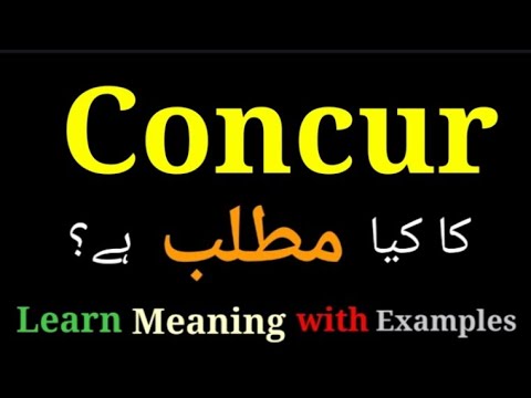 Concur Meaning