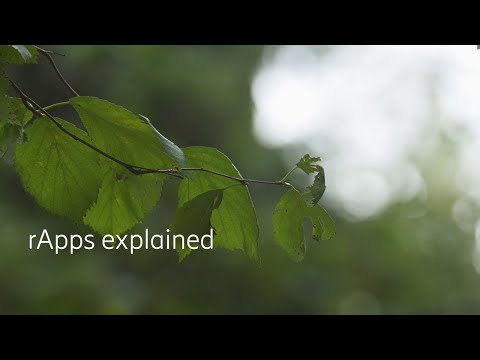 rApps explained