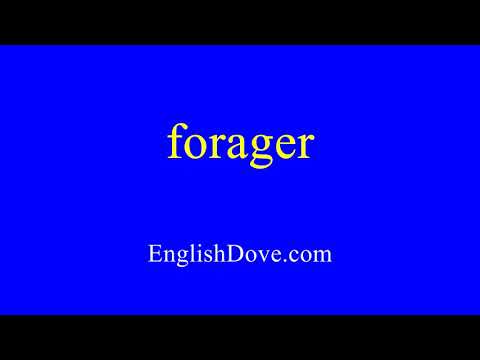 How to pronounce forager in American English