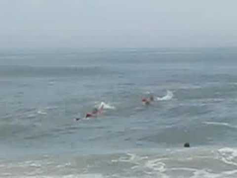 Chincoteague, VA Beach Rescue Video on Assateague Island