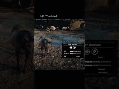 Steam Community :: Video :: RDR2 • All Dutch Warmblood Horse Colors and ...