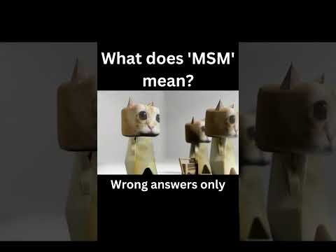 What does 'MSM' mean?