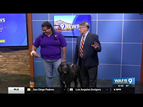 BREC hosting "Dog Day at the Swamp" later this month