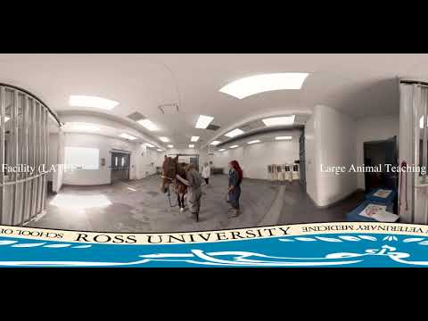 Large Animal Teaching Facility