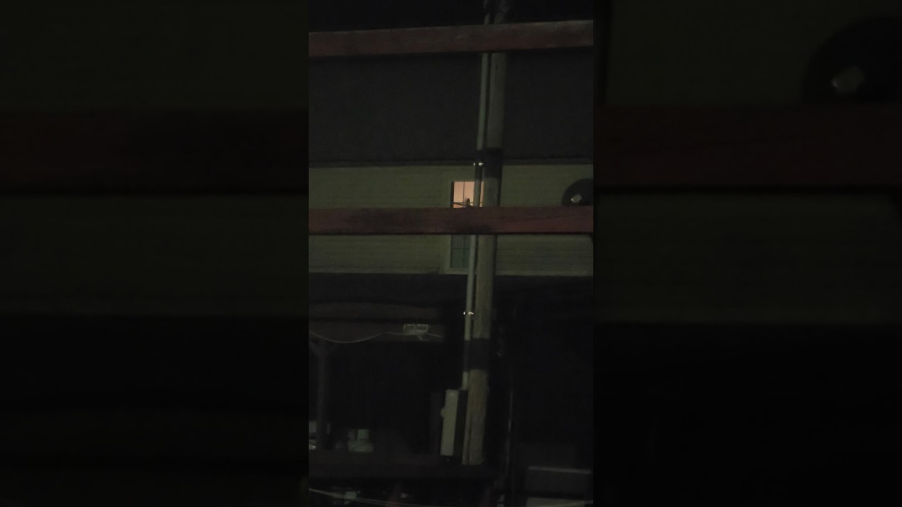 Country Store Shadow Figure