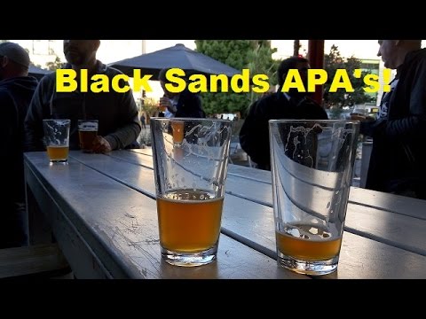 Beer Events Update - Black Sands APA Launch, 8 Wired Palate Trip + G.A.B.S Festival