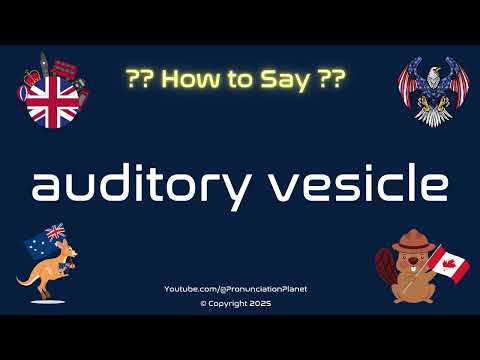 🔊 🧪 How to Pronounce auditory vesicle? (CORRECTLY) | Pronunciation Planet