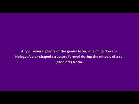 what is the meaning of aster