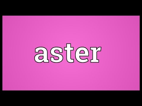 Aster Meaning