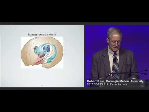 Brain Research is Underserved by Statistics