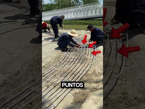 ¿Luz dentro de la madera? Solo los expertos lo logran”