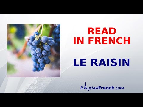 A French text for intermediate learners - LE RAISIN