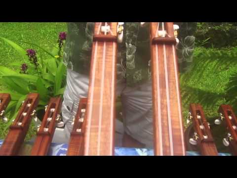 Rare - Kona Walkingbass 4-String Electric Upright Stick Bass | Reverb