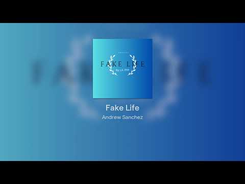 Fake Life (By: LiL PFP)