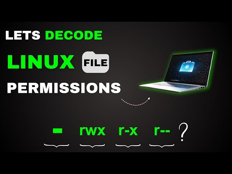 Chmod Command In Linux 2024: Avoid These Common Mistakes!