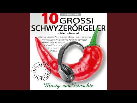 Schwyzerörgeli-Stimmig