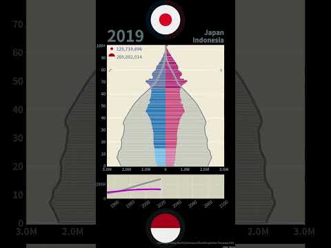[🇯🇵Japan vs 🇮🇩Indonesia] Comparison of Population Pyramids (1950-2100) Medium  #shorts #WPP2022