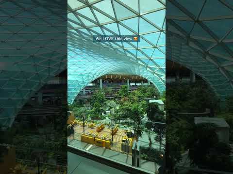 Check out this view when you are transiting through Hamad International Airport 😍🛬🇶🇦 #VisitQatar