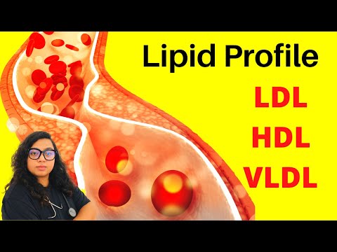 Lipid Profile Test | LDL, HDL, VLDL Explained