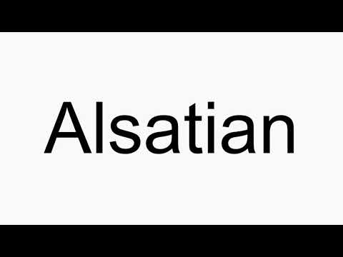 How to pronounce Alsatian