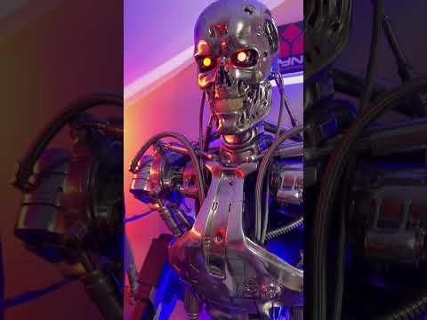 T-800 Endoskeleton Life Size & T-1000 Bust Terminator Collectibles #arnold #terminator #collection
