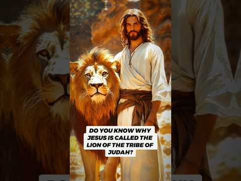 Why Jesus is called The Lion of the tribe of Judah? #bible...
