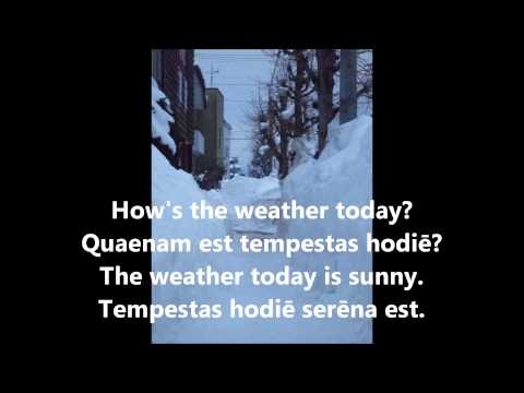 Simple Questions in Latin and English