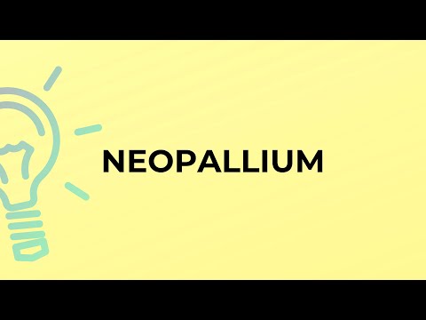 What is the meaning of the word NEOPALLIUM?