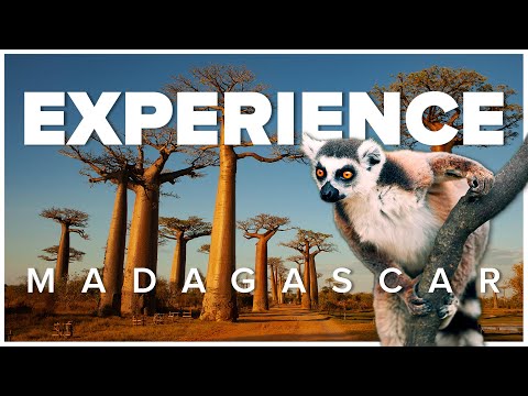 Experience Nat Hab's Wild Madagascar Adventures