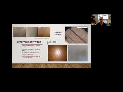 Chestnut Chat: Wood Identification and Differential Properties