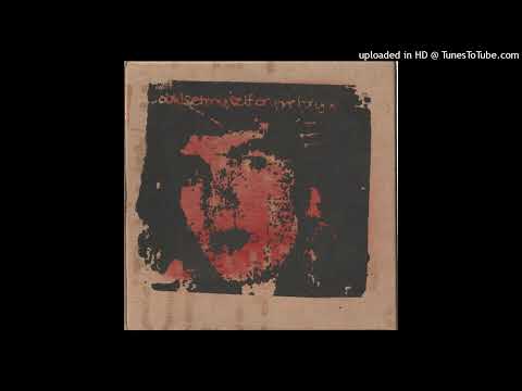 I Would Set Myself on Fire for You - The First Word That Comes To Mind