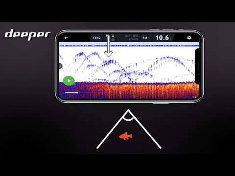 WHAT SHOULD I BE LOOKING FOR WHEN TRYING TO LOCATE FISH?