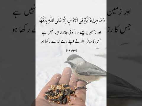Quran Verses #quotes #quranquotes #islamicshorts