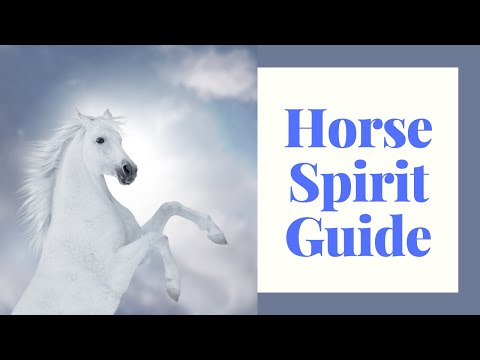 Horse Spirit Animal
