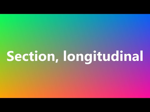 Section, longitudinal - Medical Meaning and Pronunciation