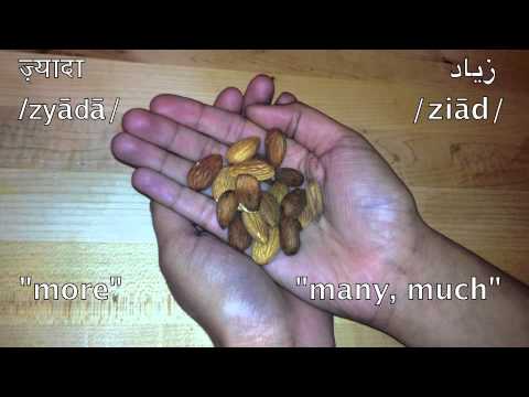 20 Words: Hindi and Persian