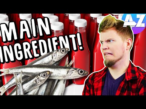 Ketchup was FISH?! - Condimystery