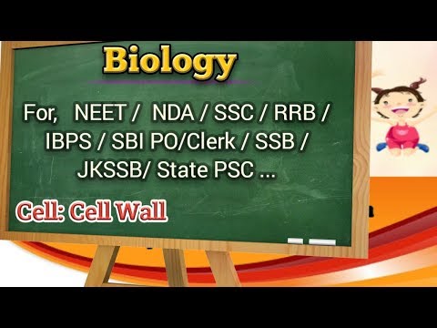 Cell Wall | Plant Cell Wall | Cell Wall Definition | Want is Cell Wall | Plasma Membrane & Cell Wall