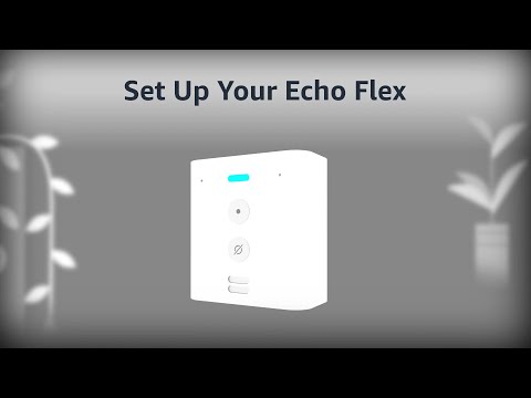 How to Set Up Echo Flex: Amazon Alexa