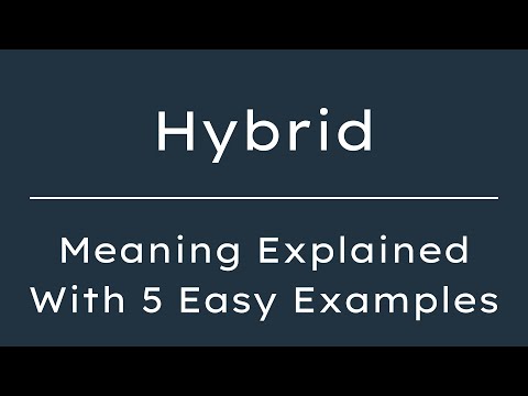 What Does Hybrid Mean? Hybrid Meaning in English With 5 Example Sentences